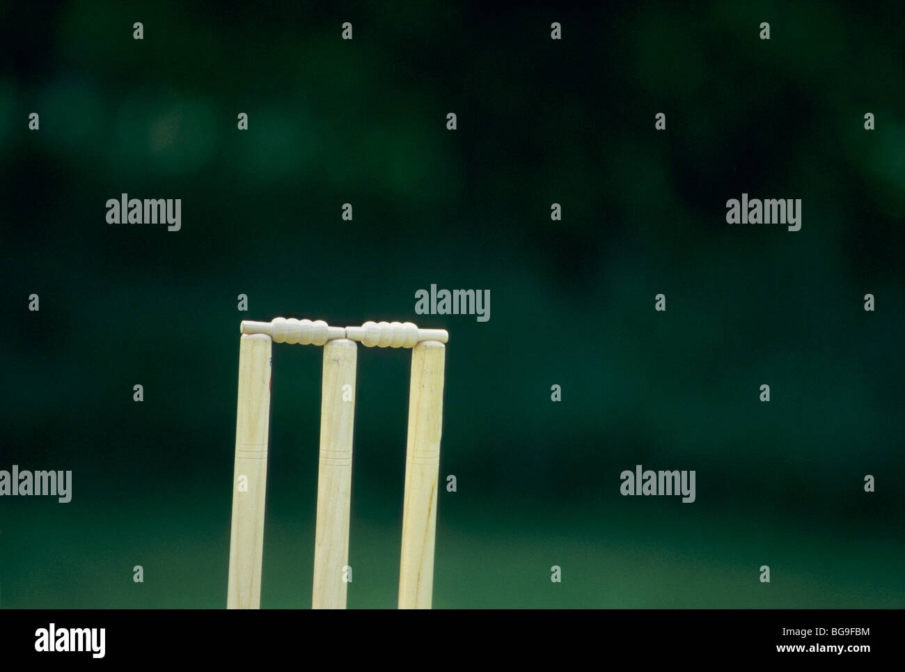 Three stumps with bails on grass wicket Stock Photo - Alamy