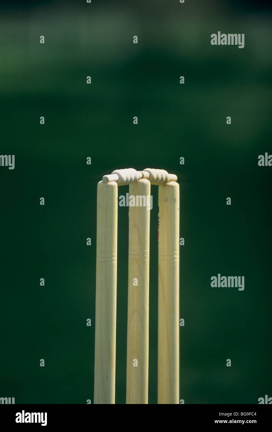 Cricket pitch close up hi-res stock photography and images - Alamy