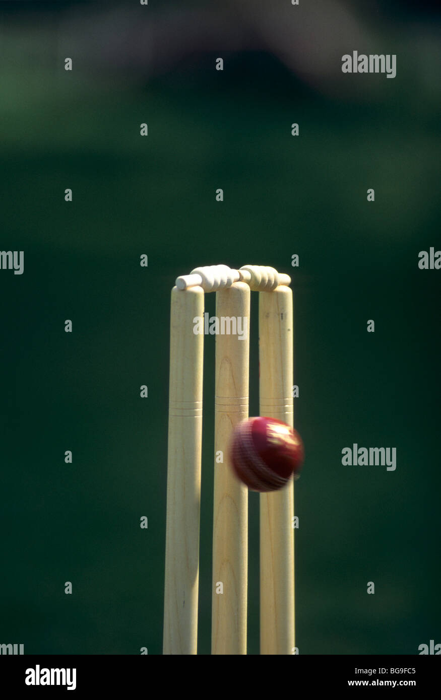 Close up of red cricket ball striking the stumps Stock Photo - Alamy