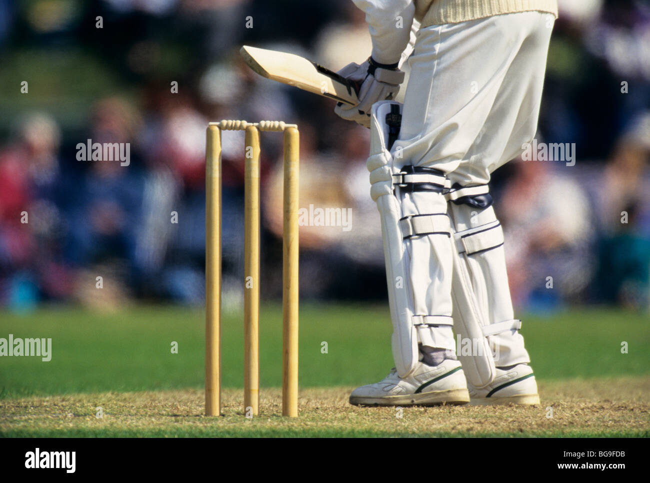 Cricket ball, gloves, pads hi-res stock photography and images - Alamy