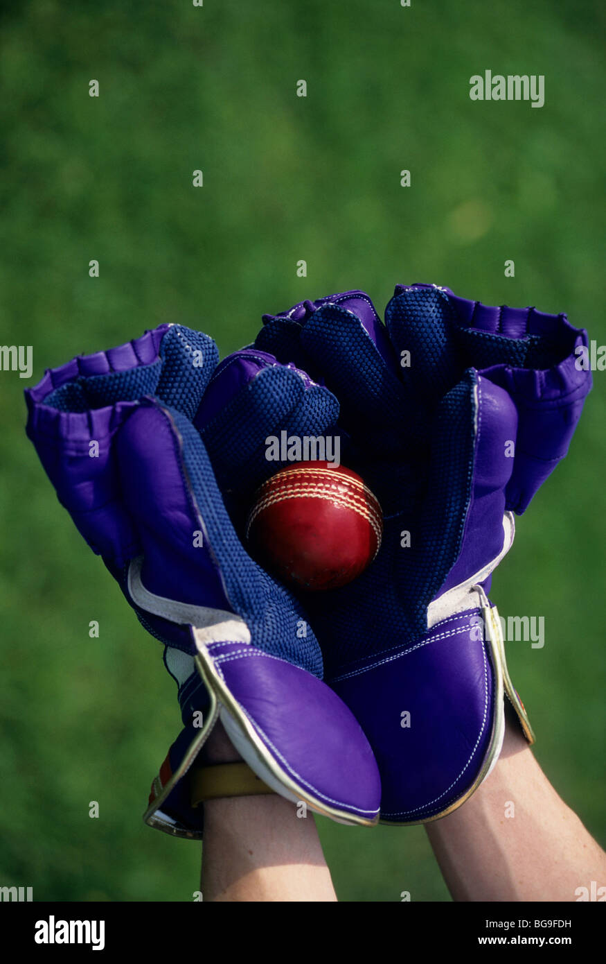 Wicket keeper gloves hi-res stock photography and images - Alamy