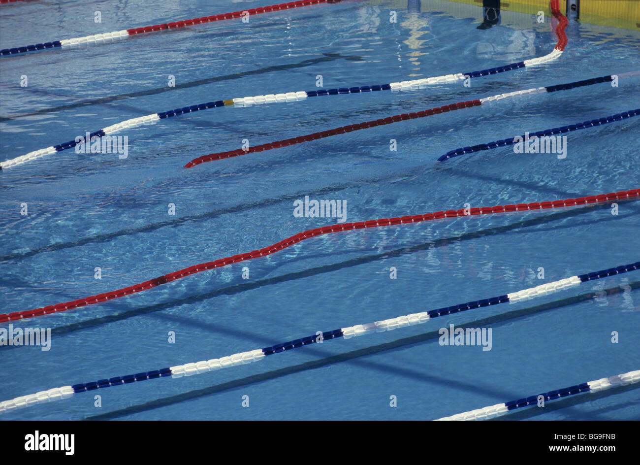 Competitive swimming pool with lanes Stock Photo - Alamy