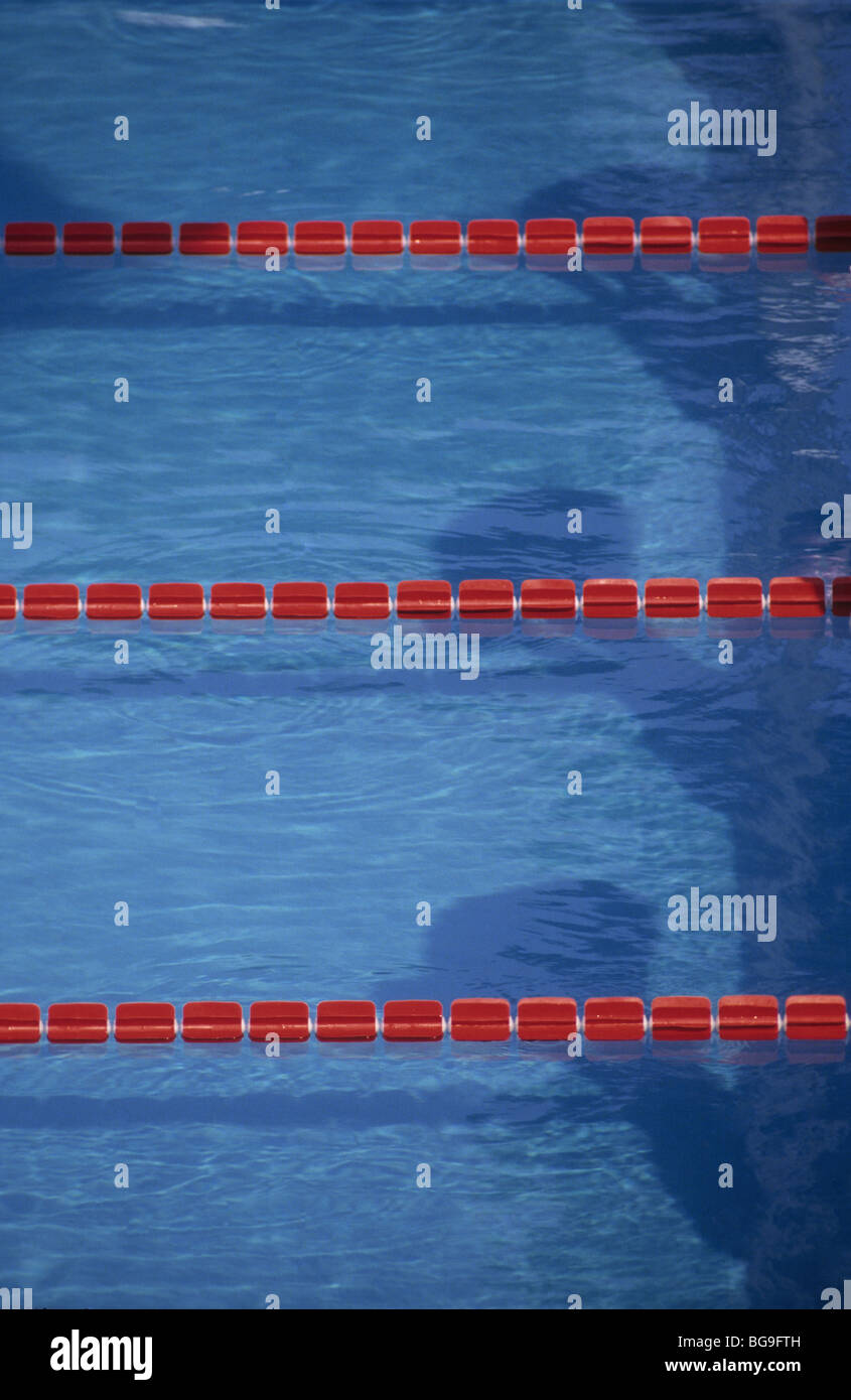 Competitive swimming pool with lanes Stock Photo - Alamy