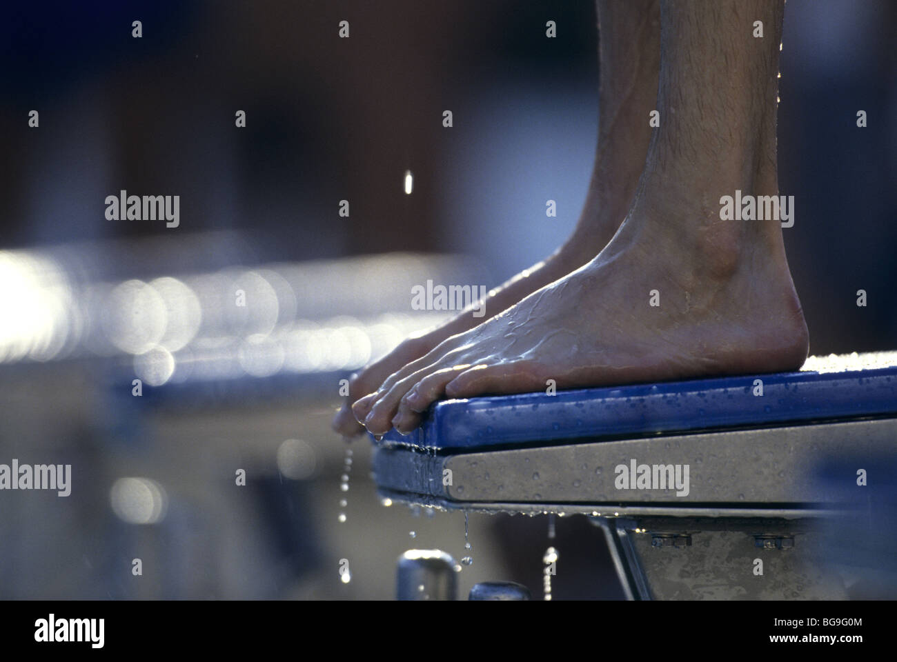 Swimmer diving board hi-res stock photography and images - Alamy