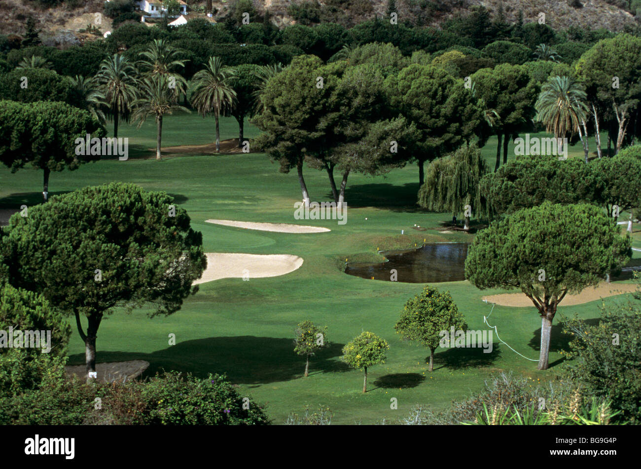 Golf course fairway Stock Photo - Alamy