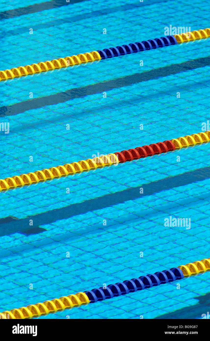 Olympic swimming pool Stock Photo - Alamy