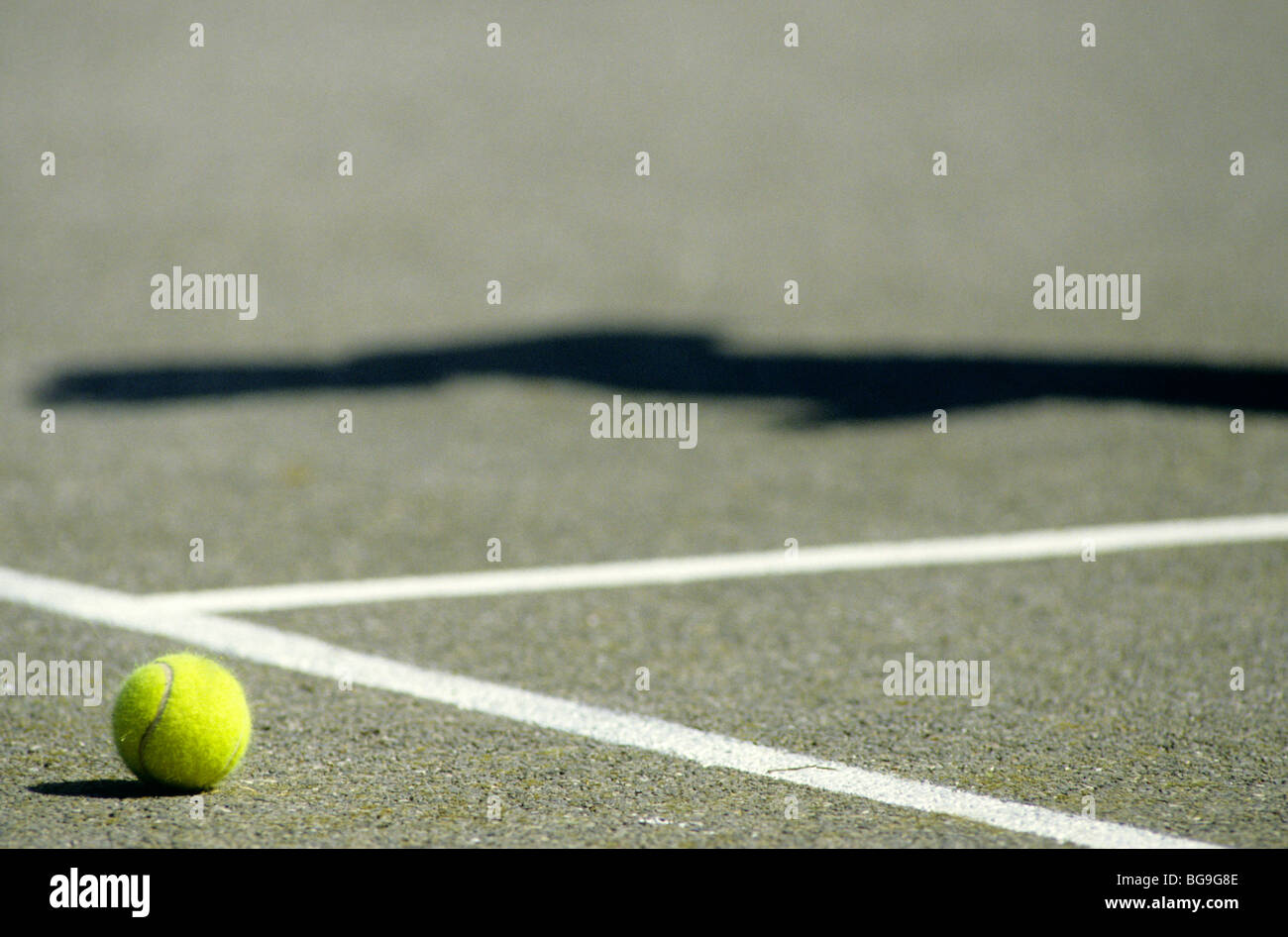 Tennis ball on a hard court Stock Photo - Alamy