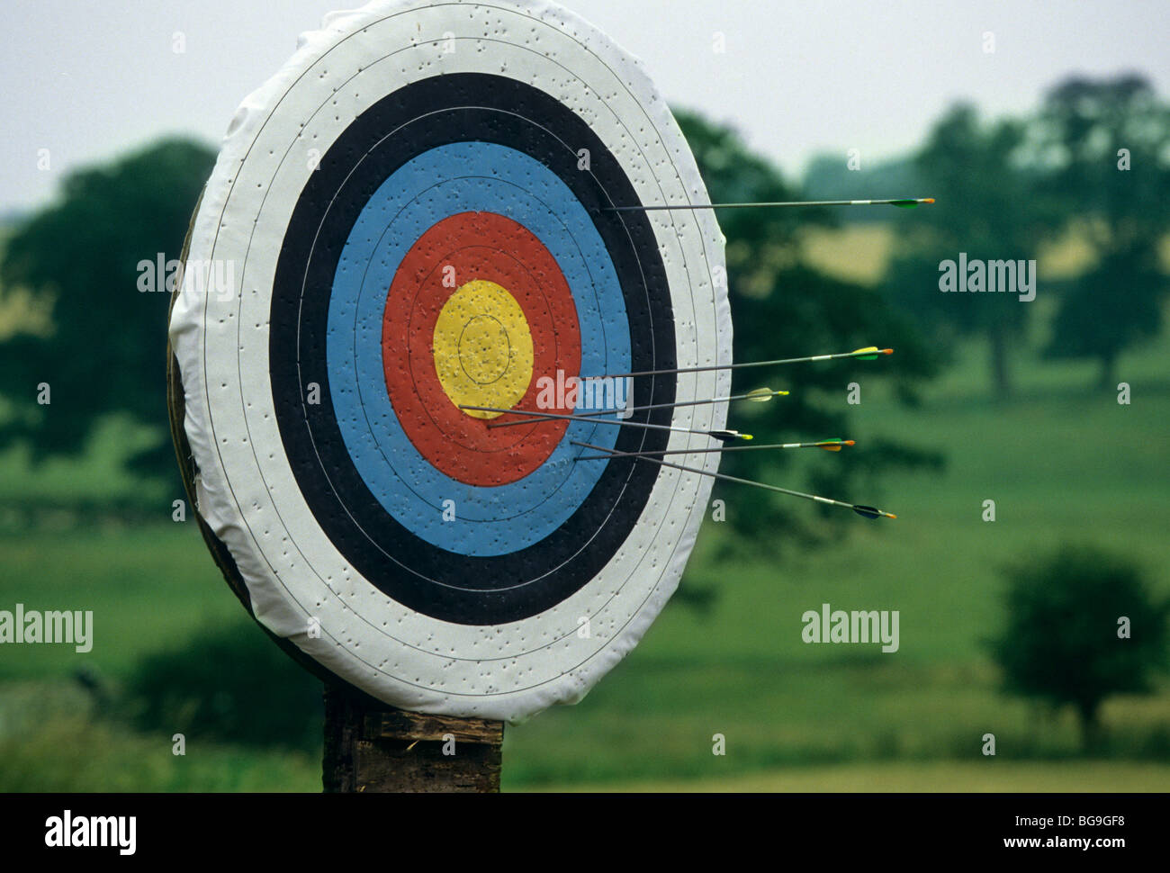 Close up of an archery target Stock Photo - Alamy