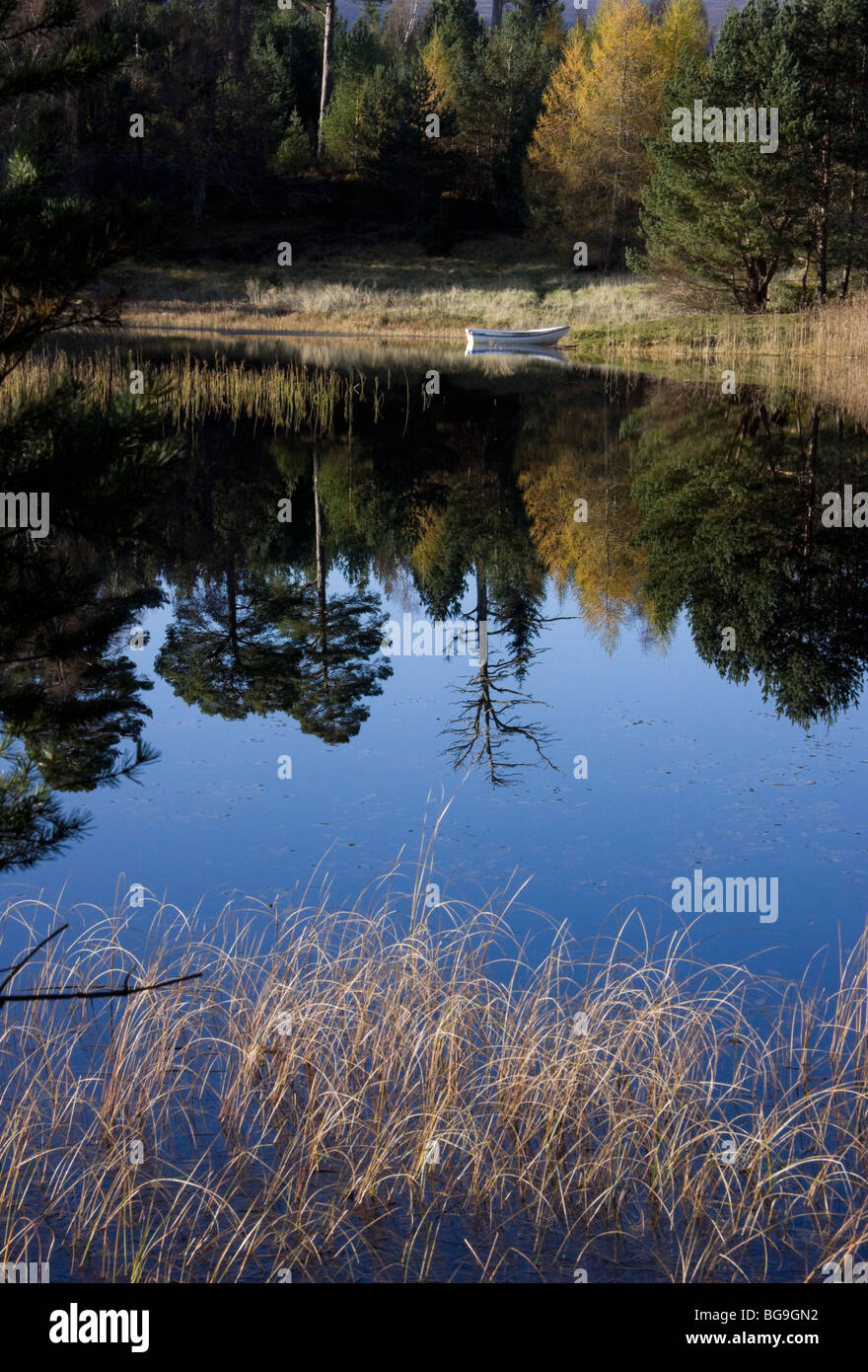 Lochan Mor Cairngorms National Park Scotland Stock Photo - Alamy