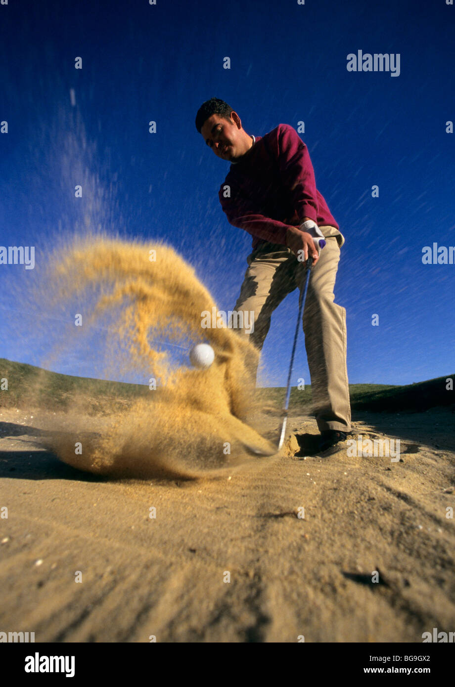 Golfer chips the ball out of the bunker Stock Photo - Alamy