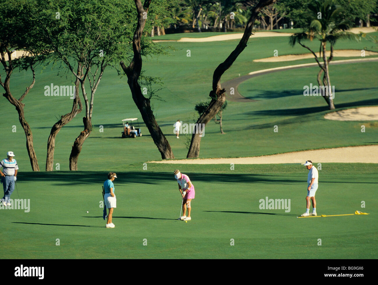 Golfers on a golf course Stock Photo - Alamy
