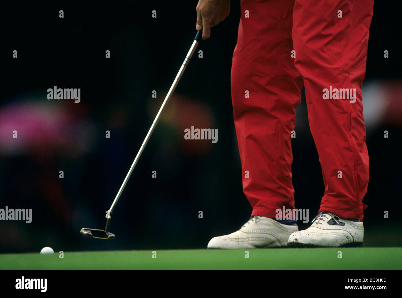 Golfer putting a ball Stock Photo - Alamy