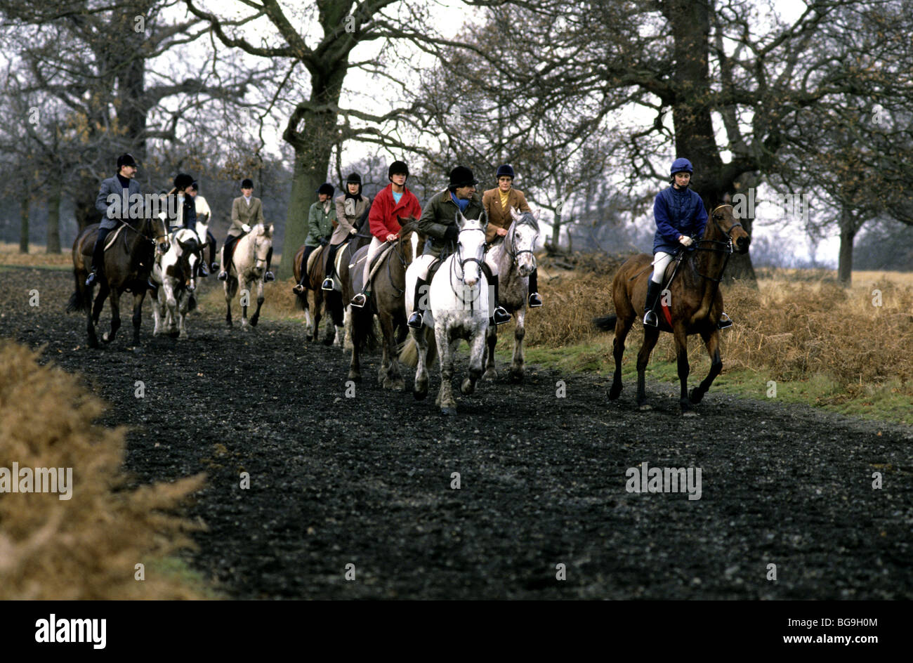 Group of horse riders on a trail Stock Photo - Alamy