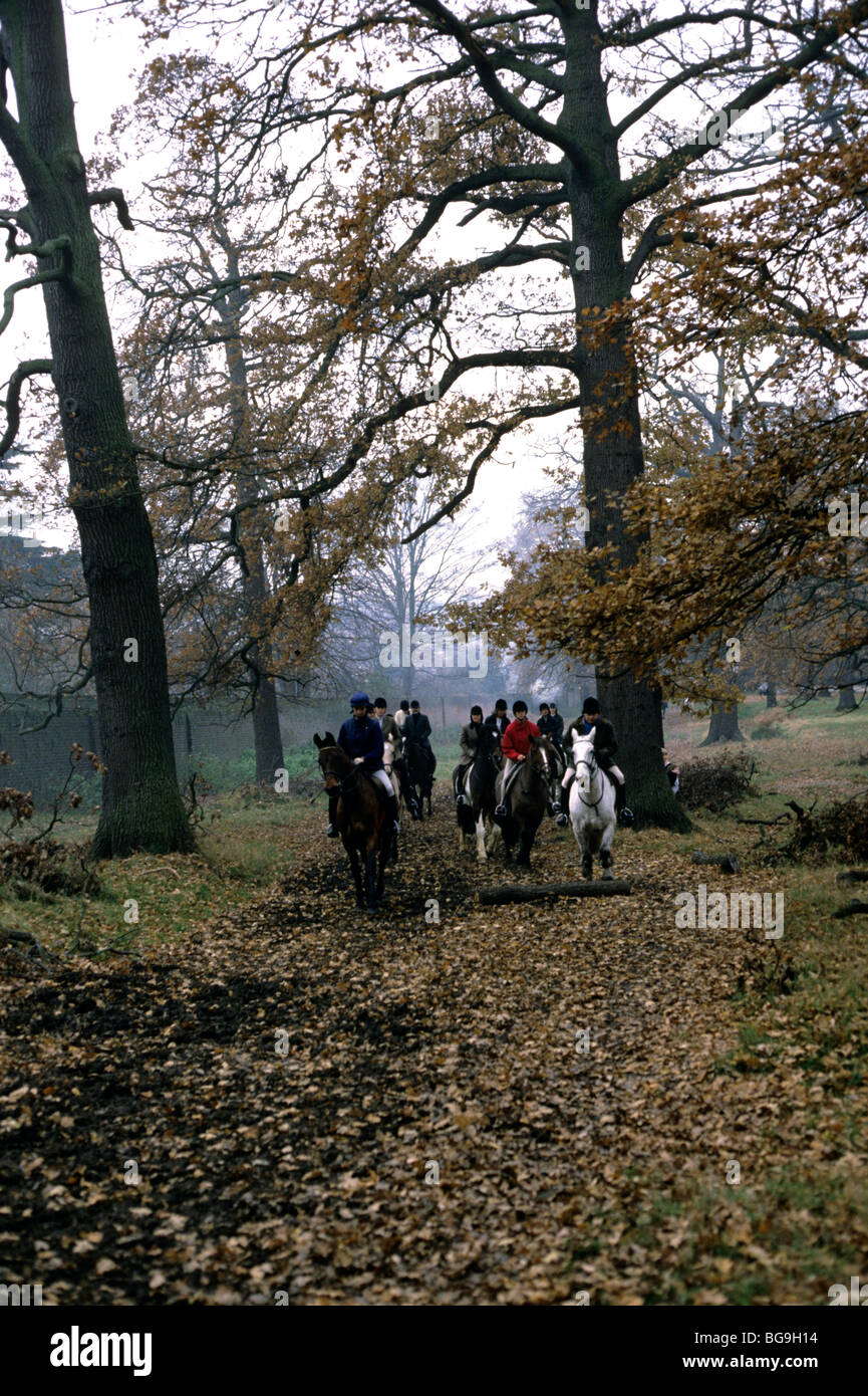 Group of horse riders on a trail Stock Photo - Alamy