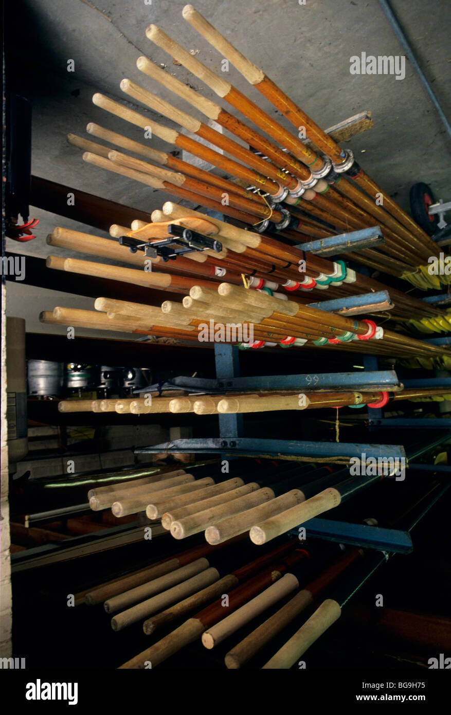 Racks of oars in a boat house Stock Photo - Alamy