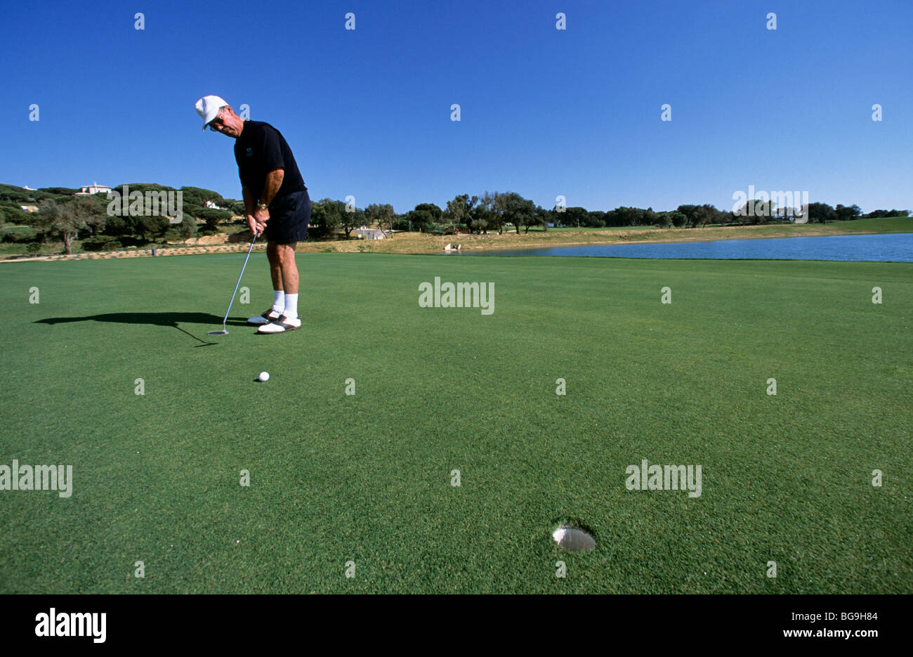 Golfer putting on the green Stock Photo - Alamy