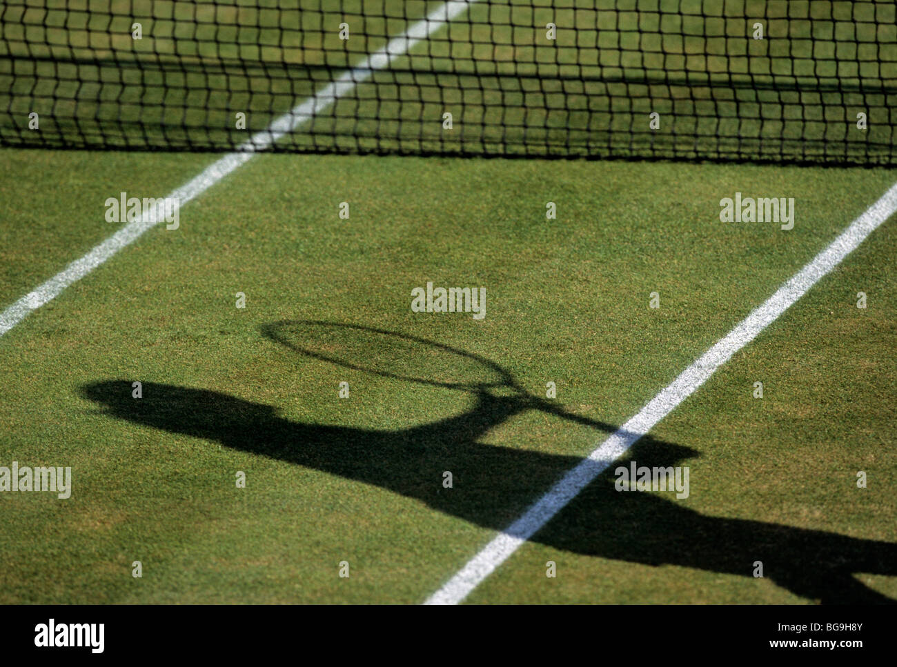 Shadow of a tennis player on a grass court Stock Photo - Alamy