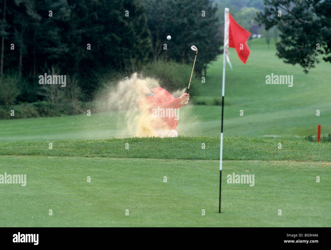 Golfer chips the ball out of the bunker Stock Photo - Alamy