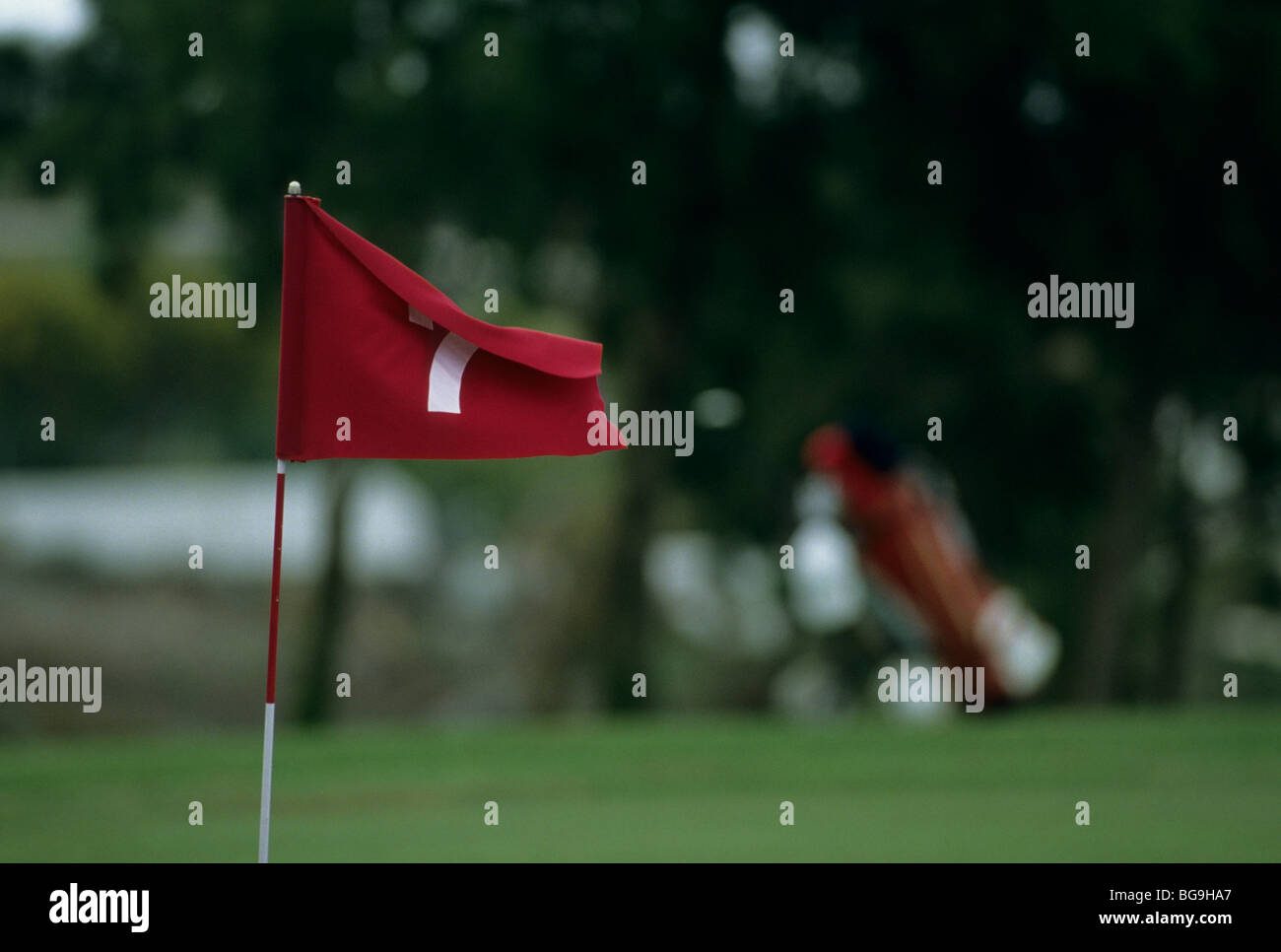 Golf flag on golf course Stock Photo - Alamy