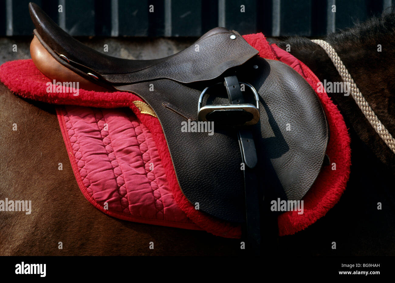 Horse saddle detail Stock Photo - Alamy