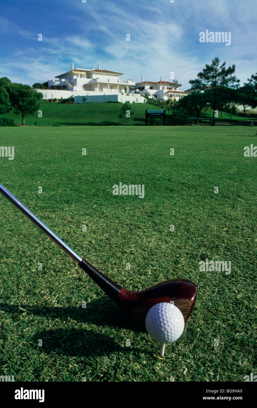 Wooden golf club ball hi-res stock photography and images - Alamy