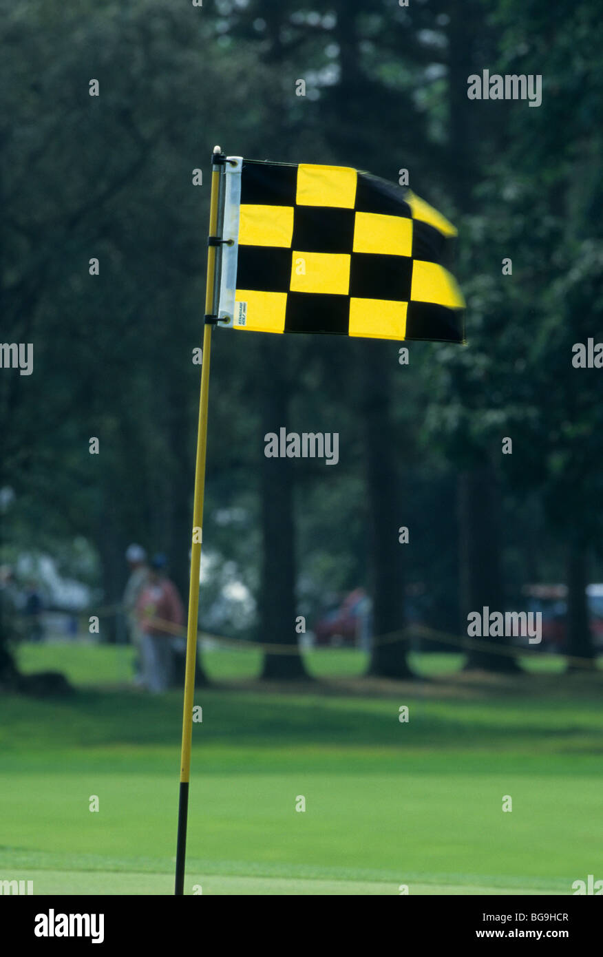 Golf flag on golf course Stock Photo - Alamy