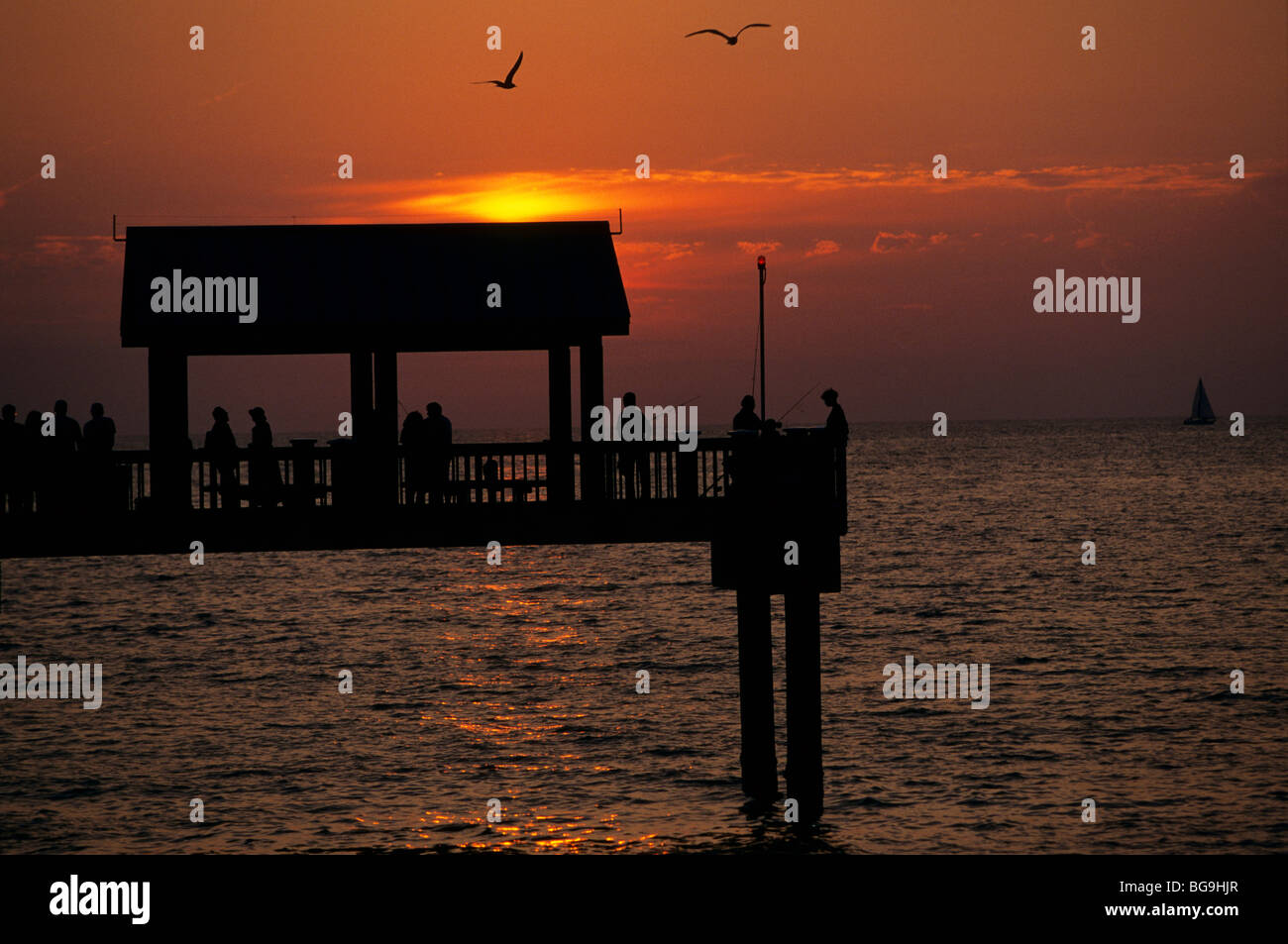 Silhouette of a group pier fishing Stock Photo - Alamy