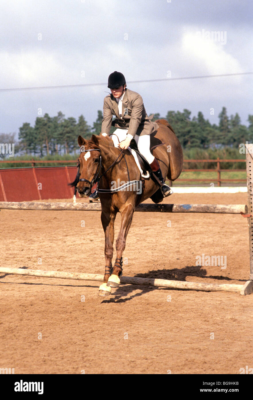 Man jumping his horse during a lesson Stock Photo - Alamy