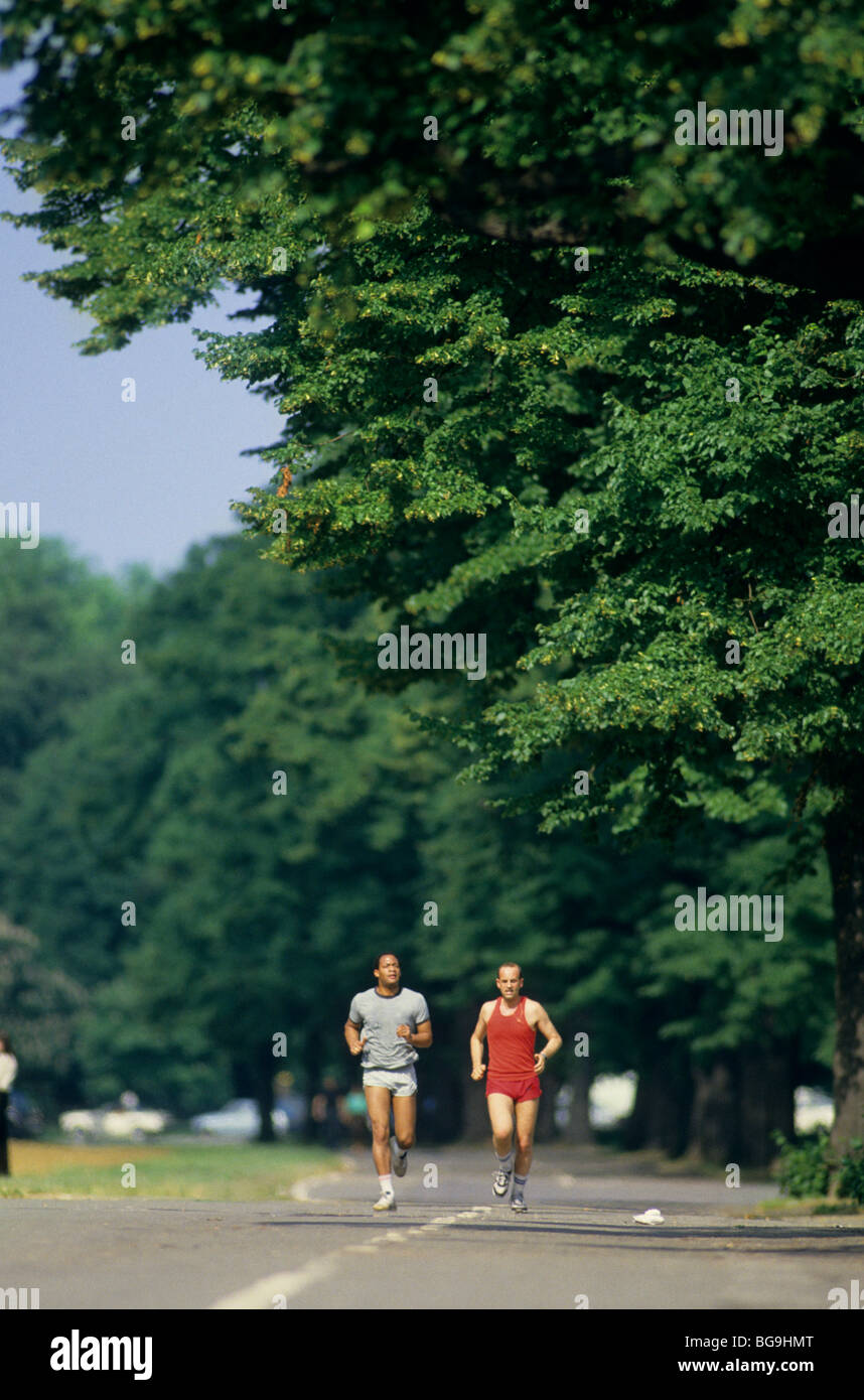 Two men jogging along a tree lined road Stock Photo - Alamy