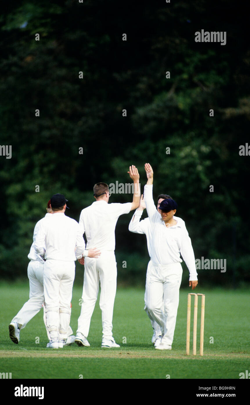 Cricket high five celebrating hi-res stock photography and images - Alamy