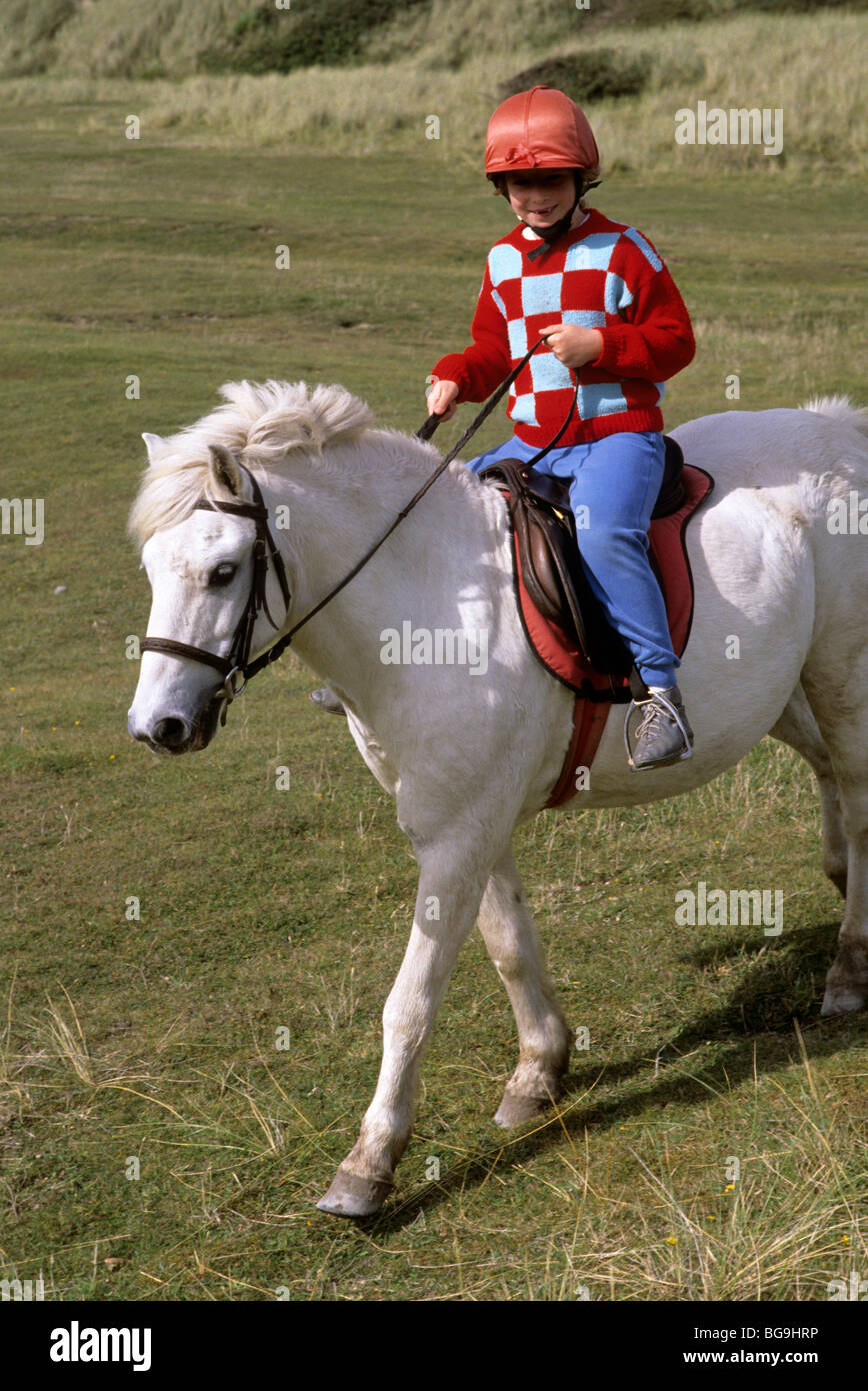 Young horse rider on her horse Stock Photo - Alamy