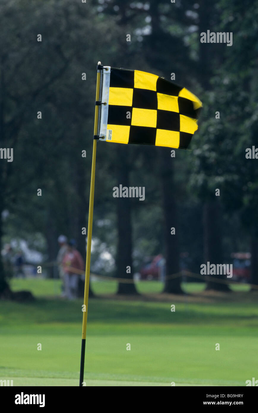 Golf flag on golf course Stock Photo - Alamy