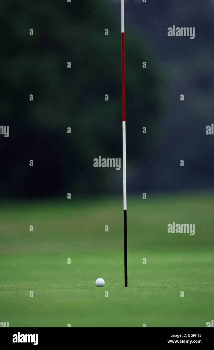 Golf pin on golf course Stock Photo - Alamy