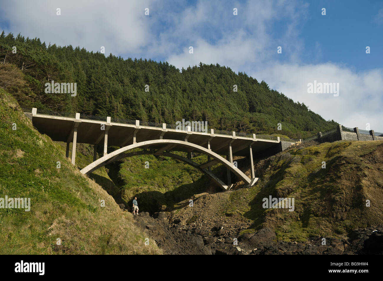 Cook's Chasm Bridge at Cape Perpetua Scenic Area on the central Oregon ...
