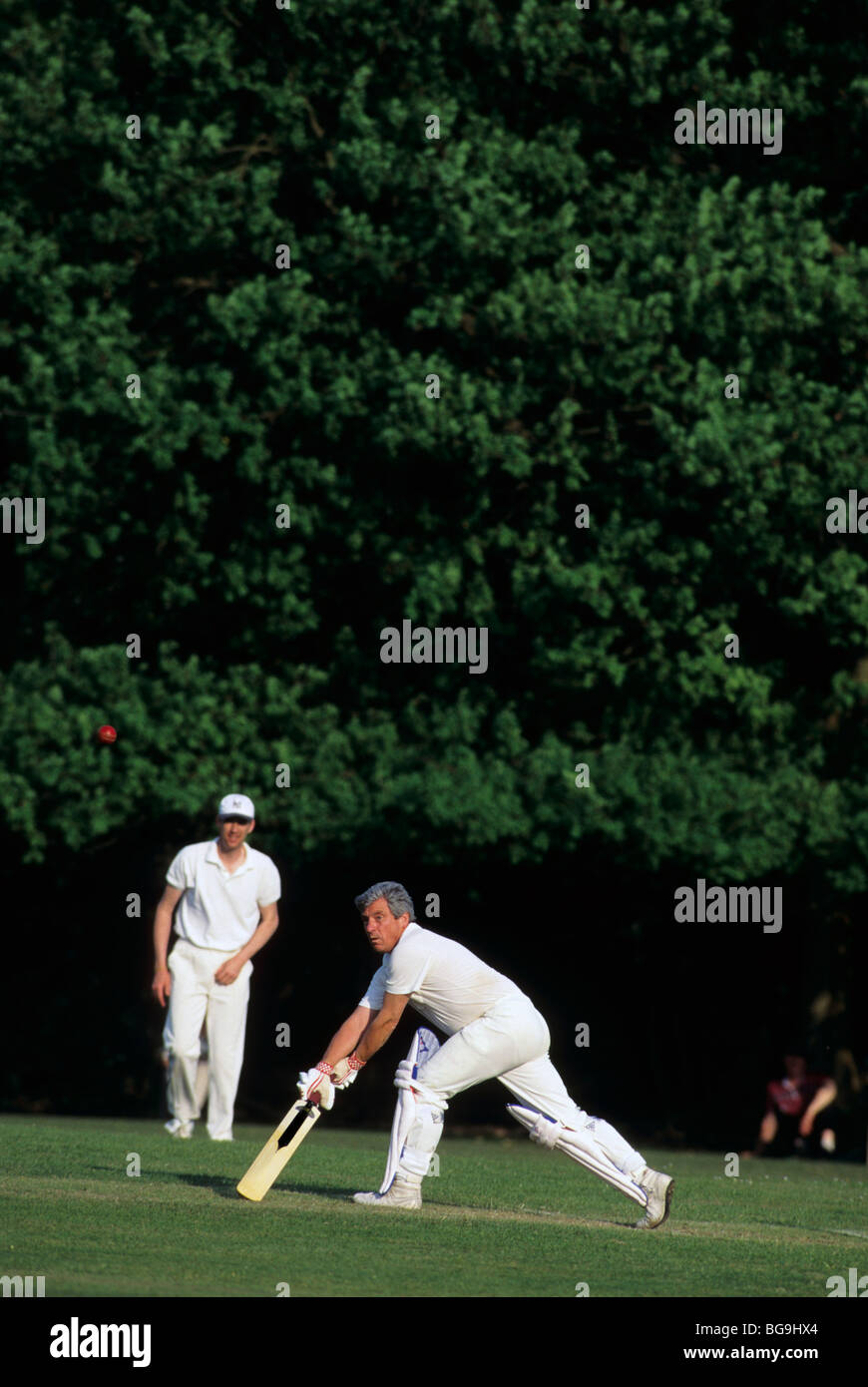 Cricket batsman about to strike the ball Stock Photo - Alamy