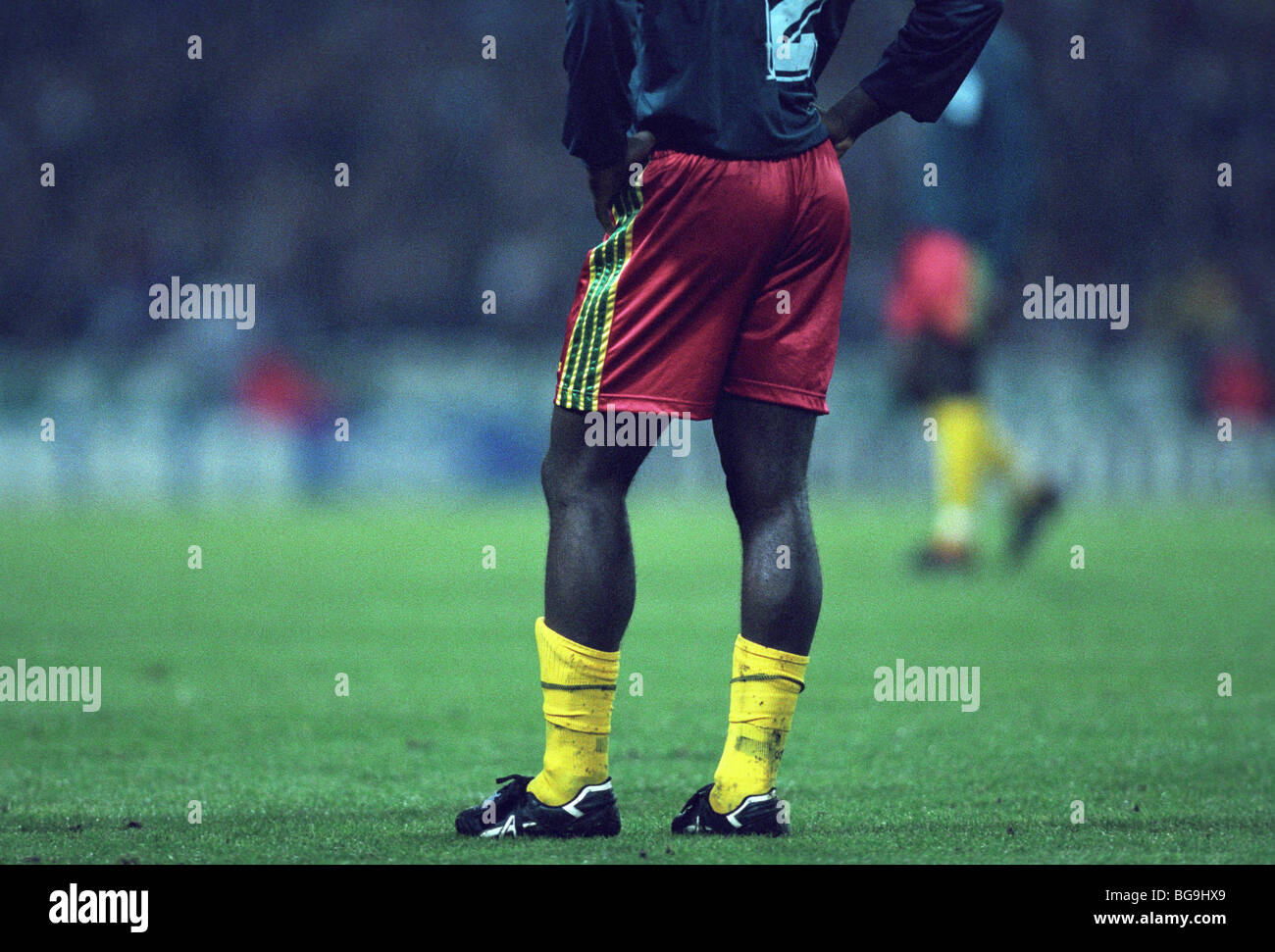 Football supporters standing on hi-res stock photography and images - Alamy