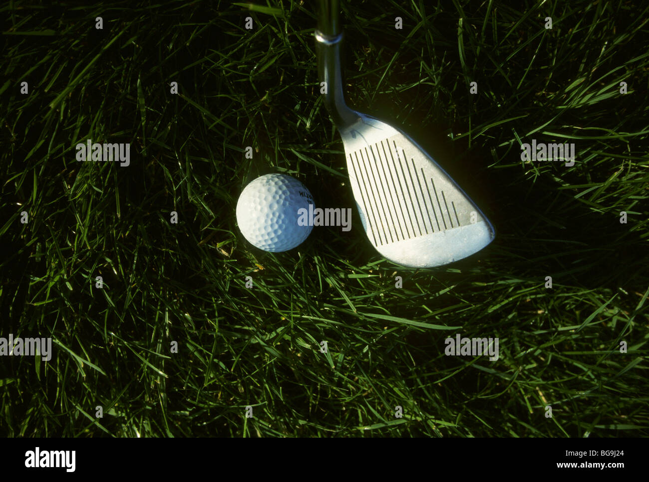 Close up of a golf club and golf ball in rough grass Stock Photo - Alamy