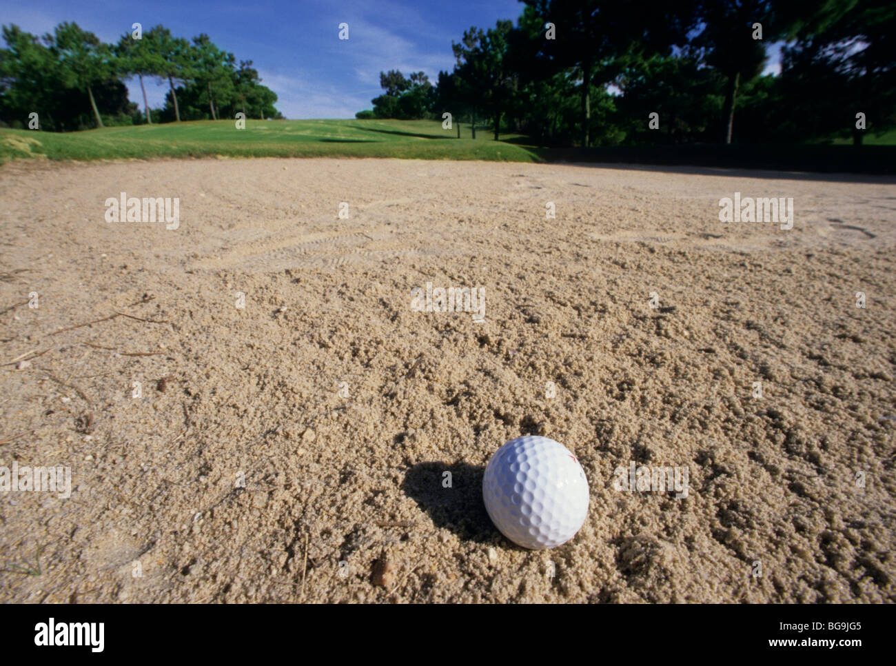 Golf ball in a sand bunker Stock Photo - Alamy