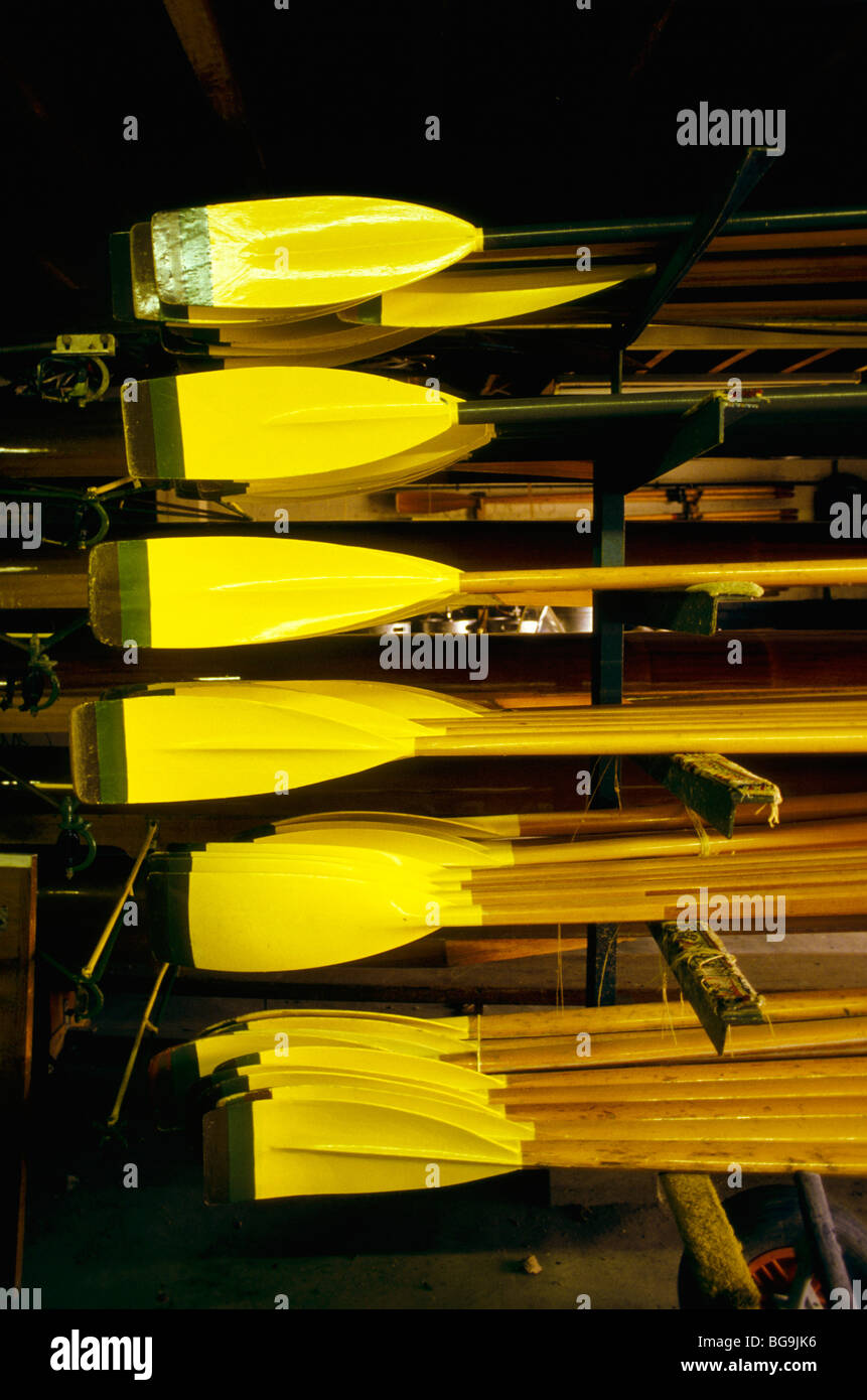 Racks of oars in a boat house Stock Photo - Alamy