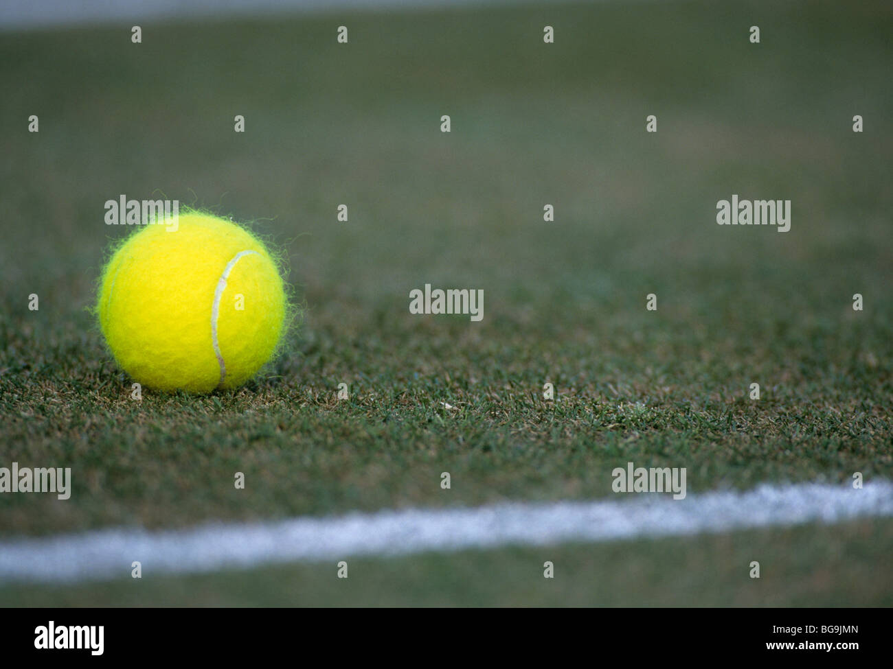 Tennis ball on a grass court Stock Photo - Alamy