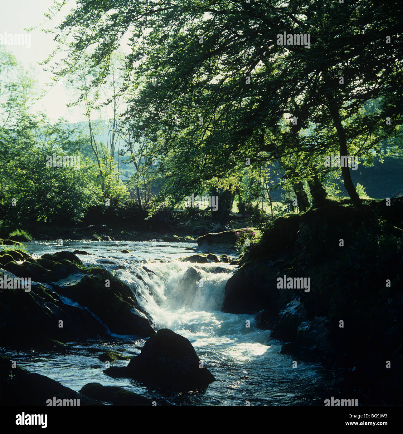 Waterfall in a mountain stream in Snowdonia, North Wales Stock Photo ...