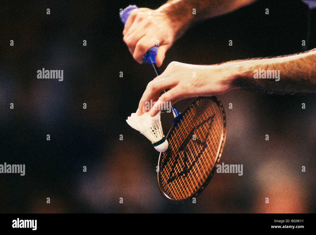 Close up of a badminton player ready to serve shuttlecock Stock Photo ...