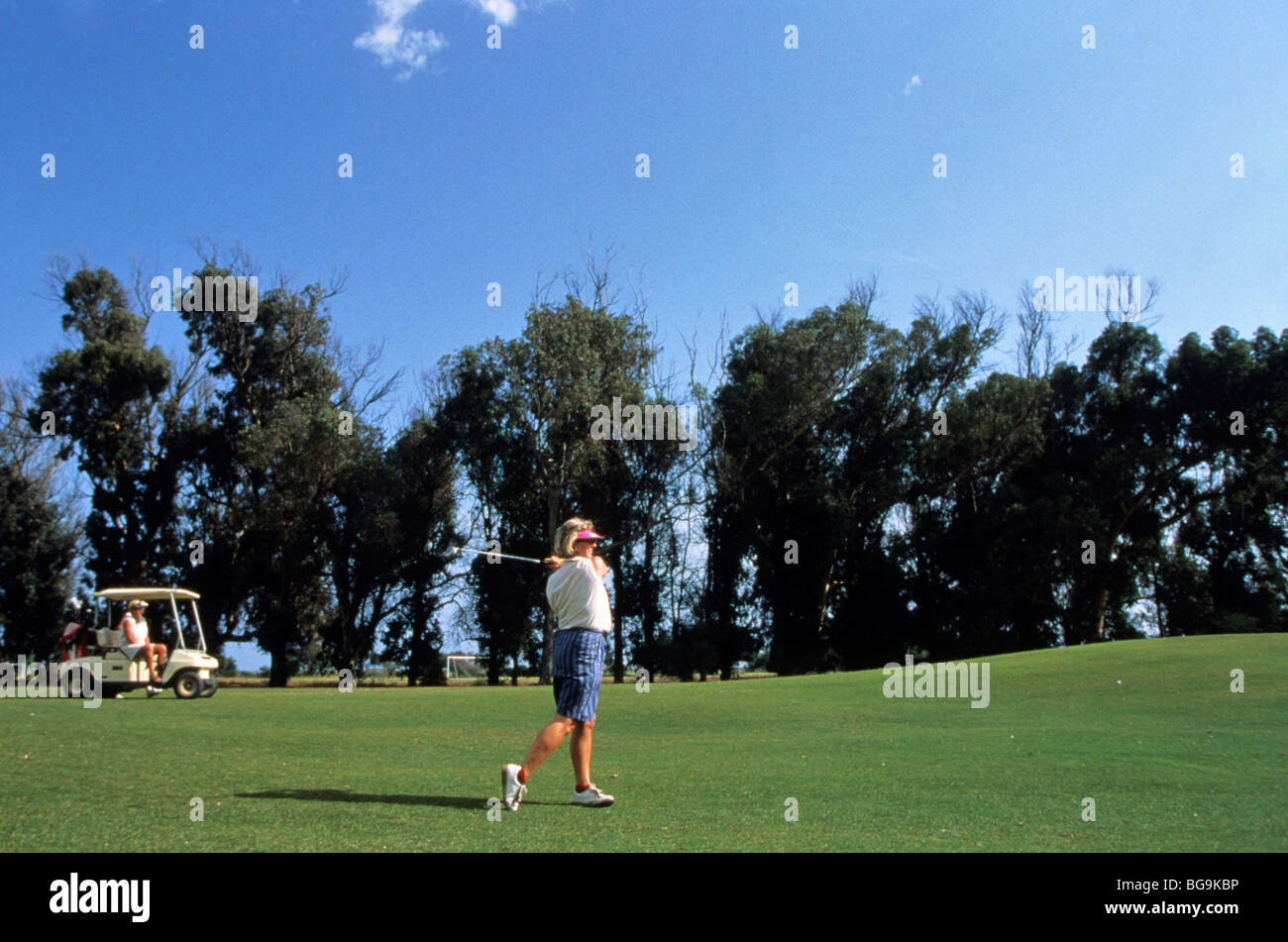 Golfer tees off on a golf course Stock Photo - Alamy
