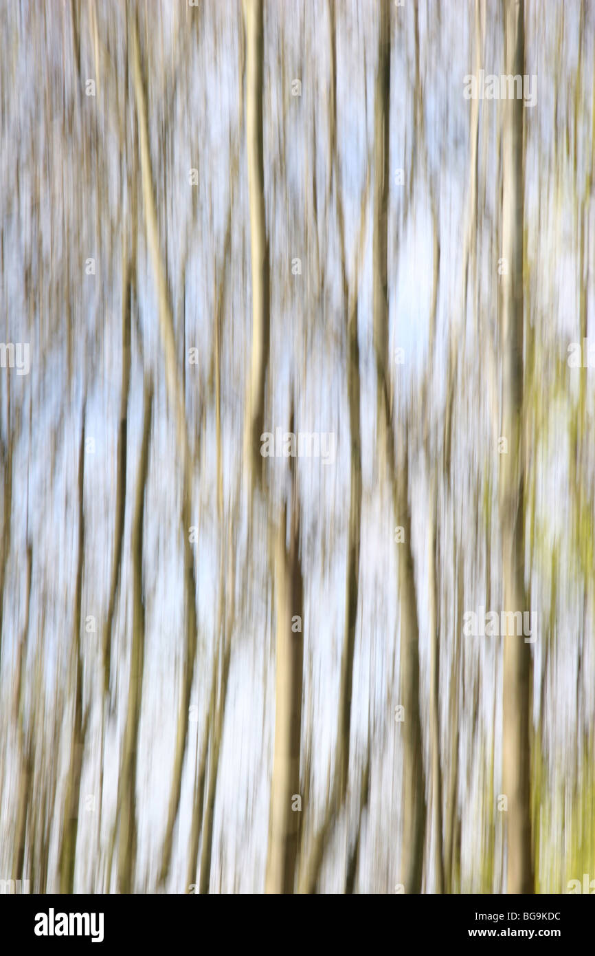 Abstract for backgrounds hi-res stock photography and images - Alamy