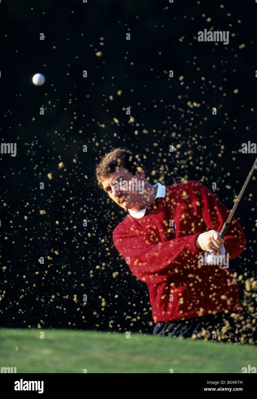Golfer chips the ball out of the bunker Stock Photo - Alamy
