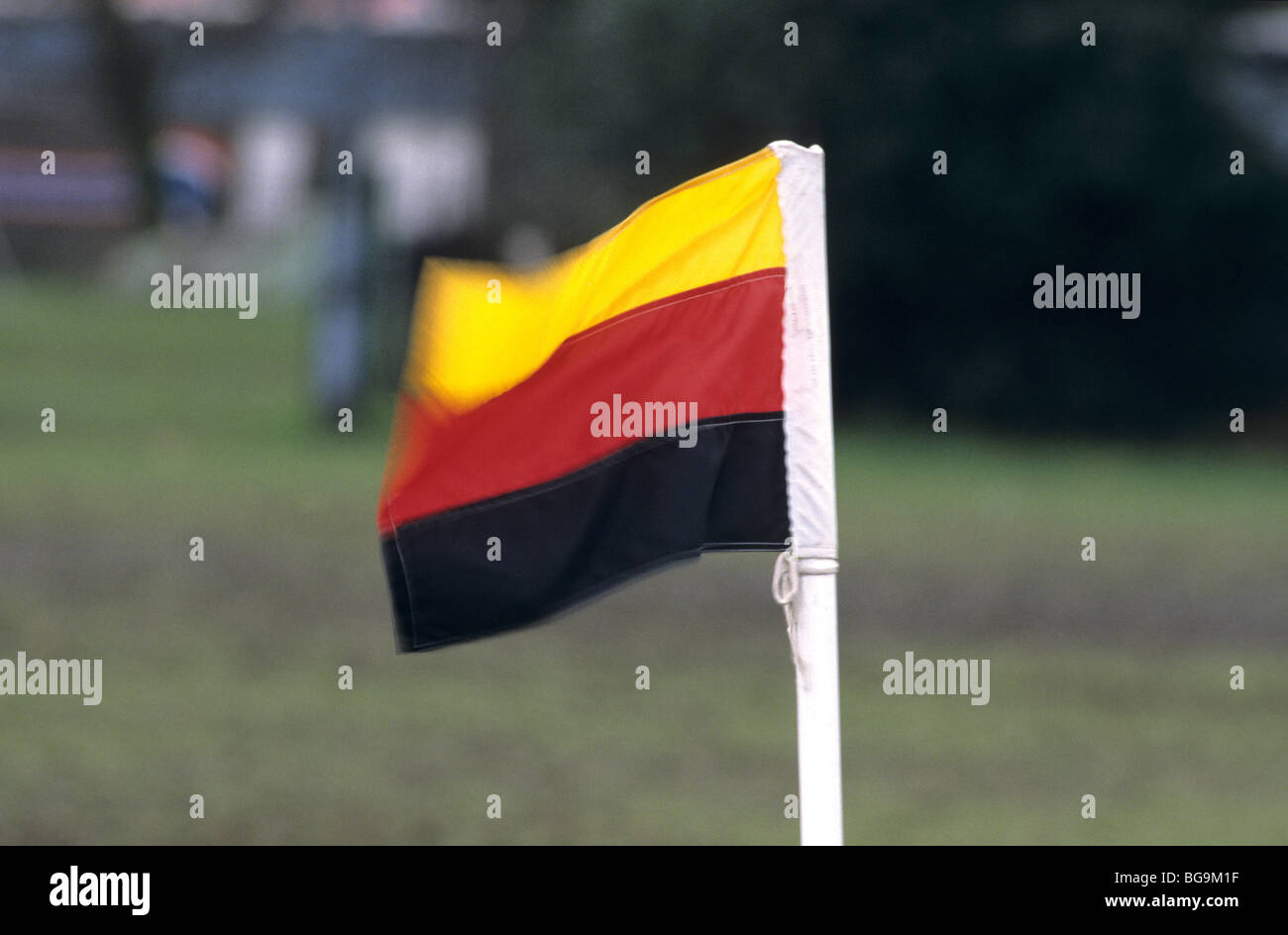 German rugby hi-res stock photography and images - Alamy