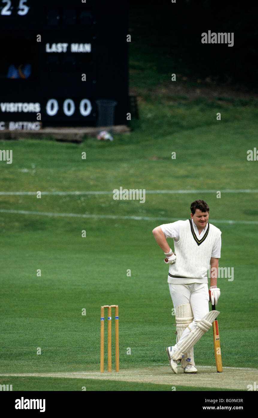 Cricket pitch wicket stump background hi-res stock photography and ...