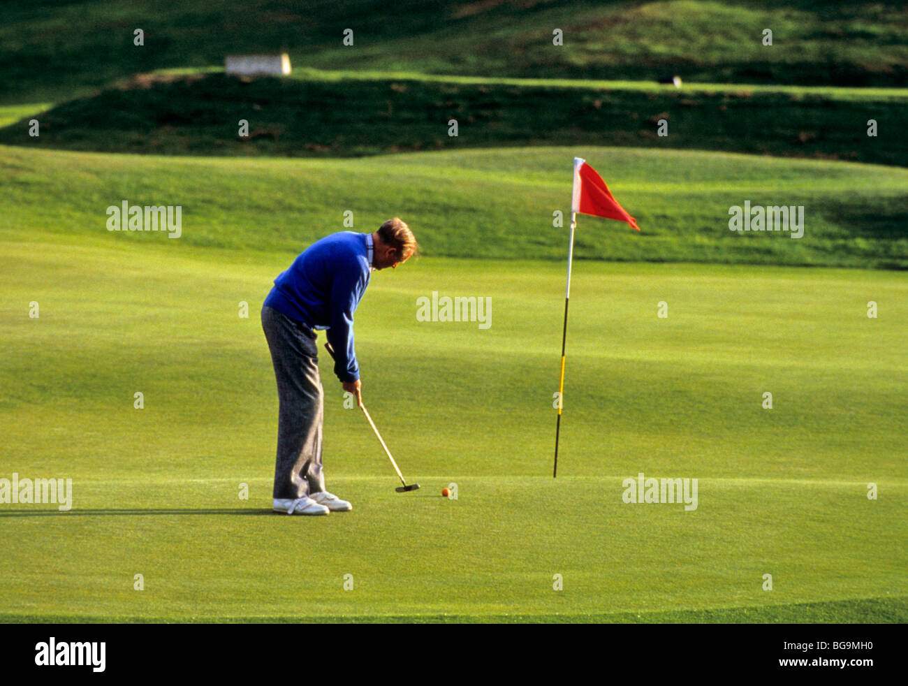 Golfer putting on the green Stock Photo - Alamy