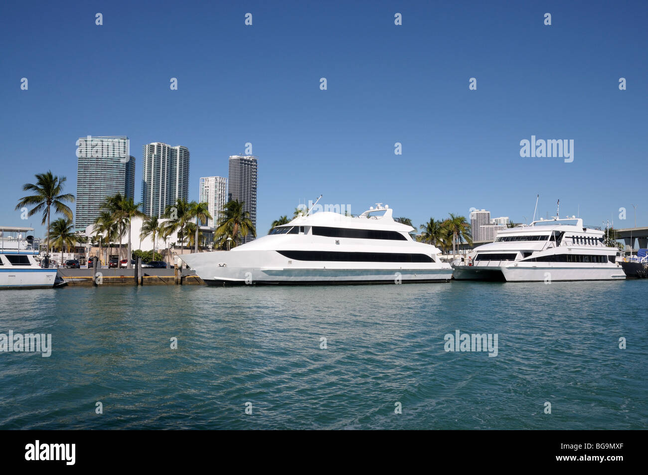 Miami florida biscayne bay port hi-res stock photography and images - Alamy