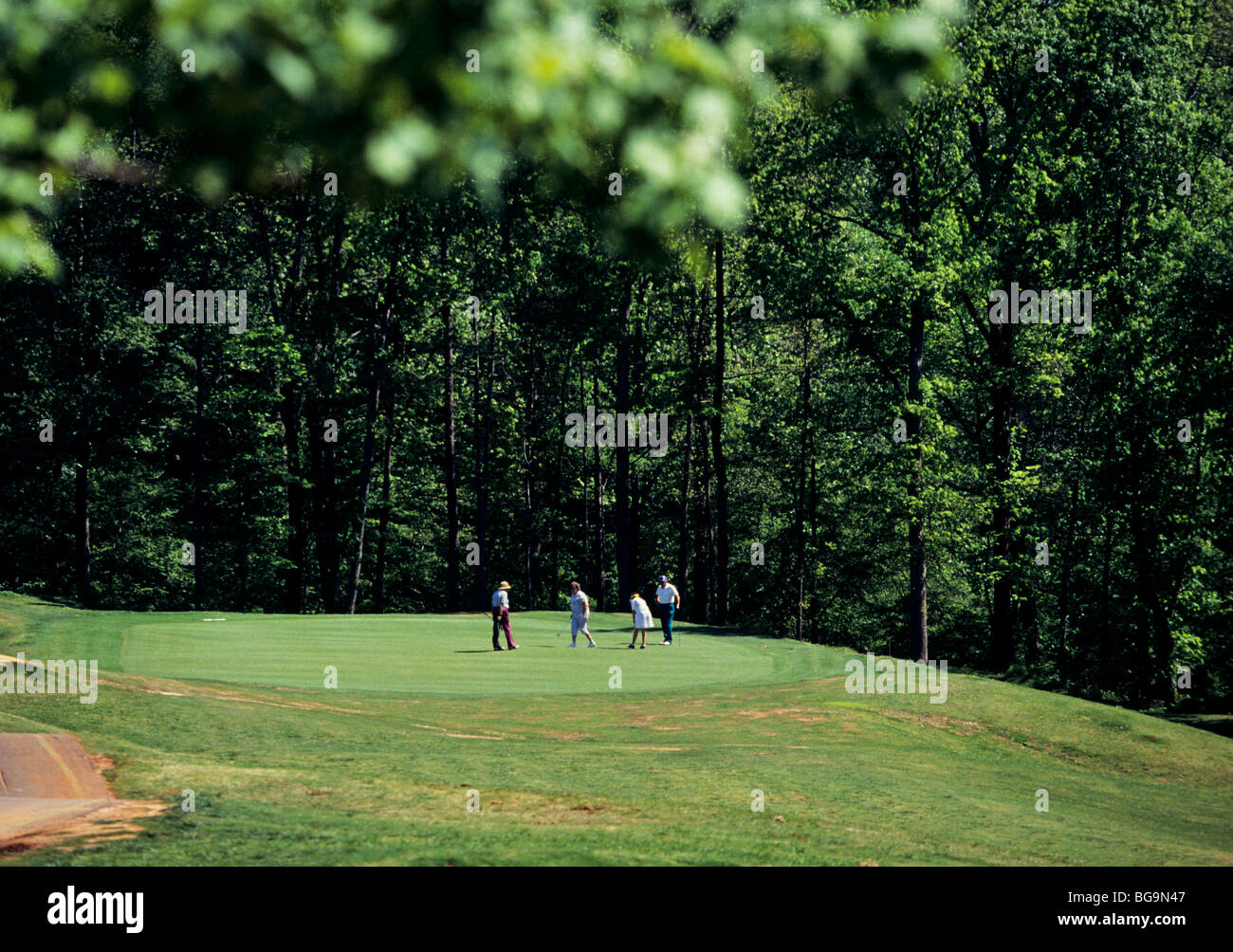 Golfers on a golf course Stock Photo - Alamy